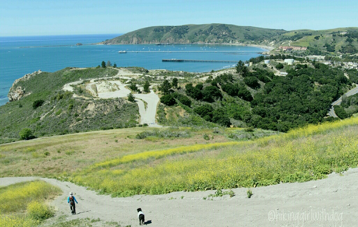 Ontario Ridge To Shell Beach Bluff Loop – Hiking Girl with Dog