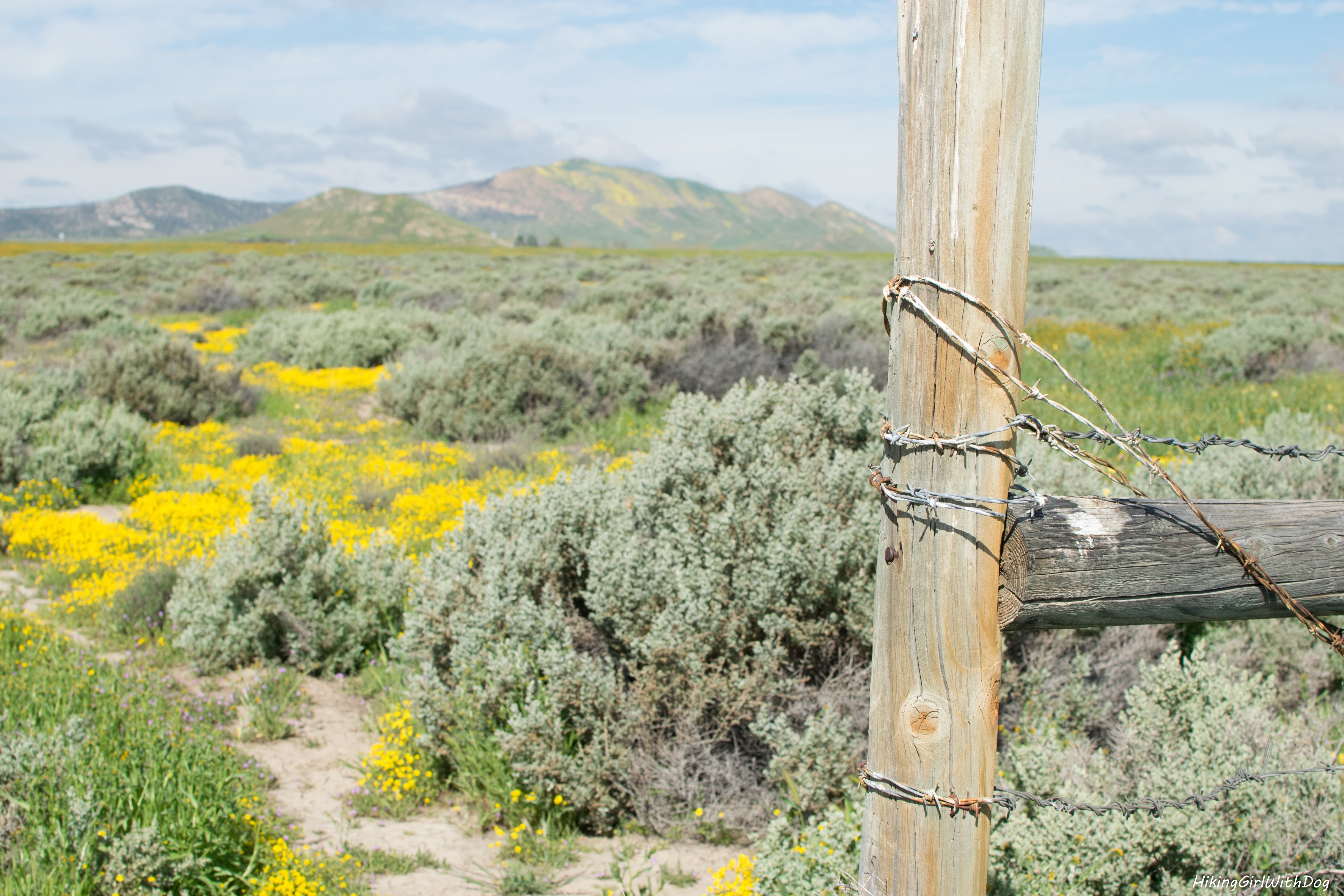 Carrizo Plain National Monument – Hiking Girl with Dog