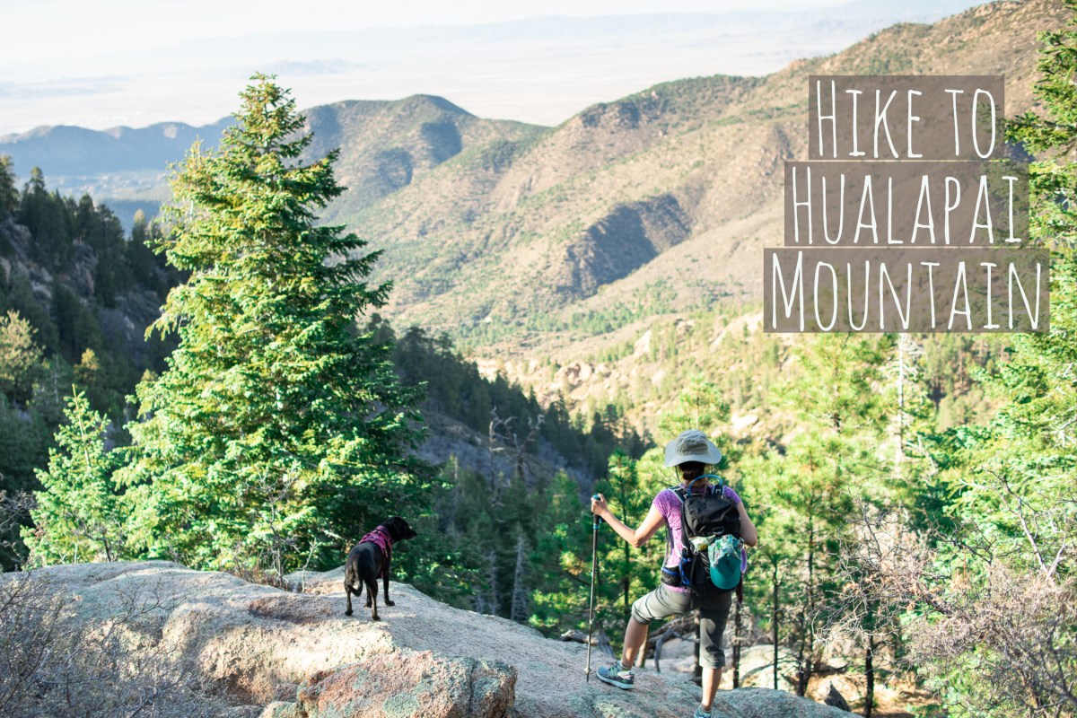 Hualapai Mountain: A Forest in the Desert – Hiking Girl with Dog