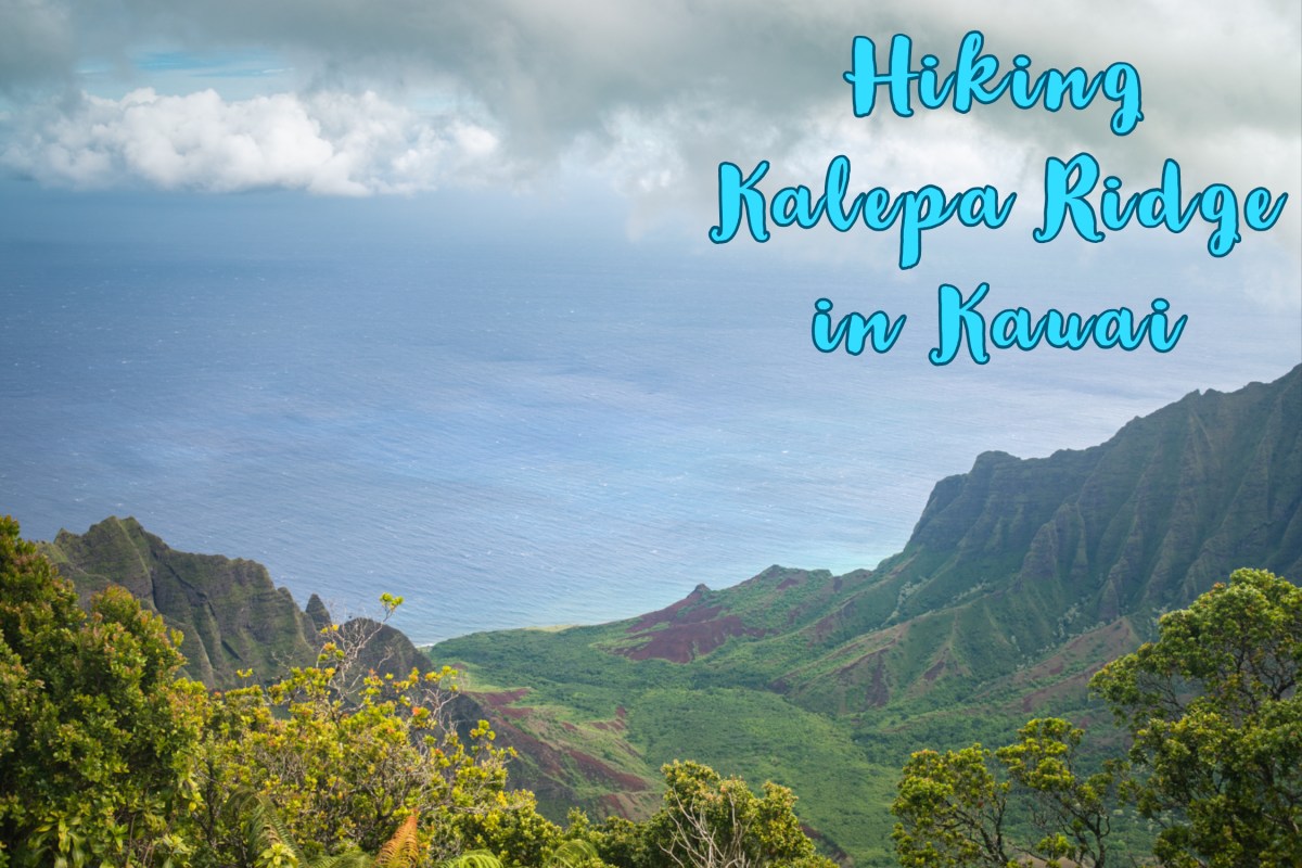 Hiking Kalepa Ridge in Kauai – Hiking Girl with Dog